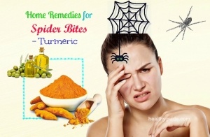 13 Natural Home Remedies for Spider Bites on Arms, Legs, Ankle, & Eyelid